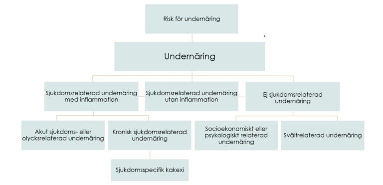 nutritionsfakta.se | kunskapsportalen om mat och halsa
